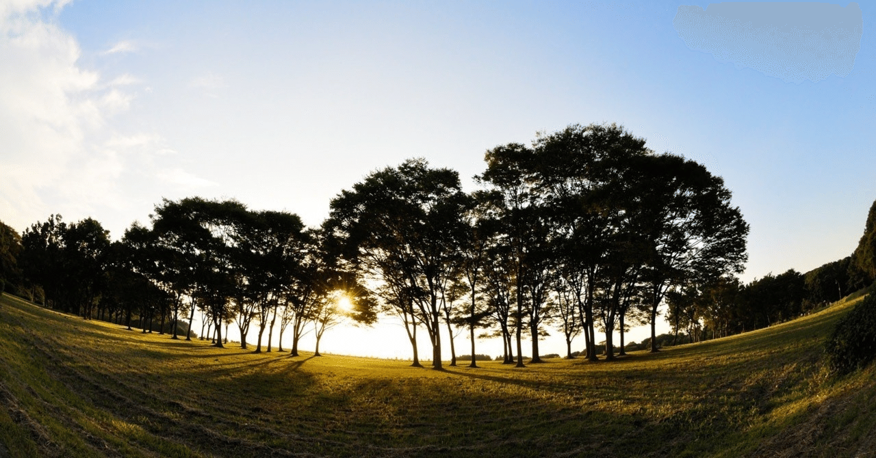私の青年期の提出レポート（その13）｜Kohei Sasaki