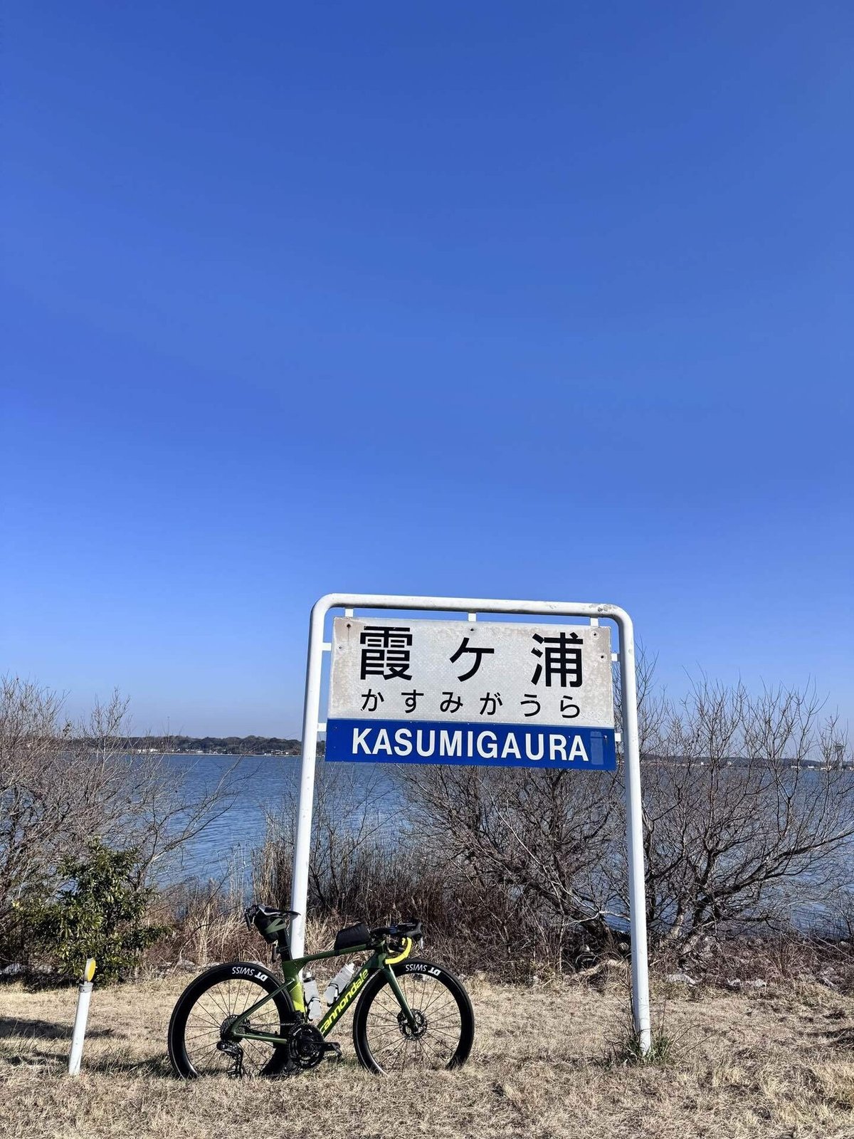 BRM117東京300 いってこいカスイチ｜suzu