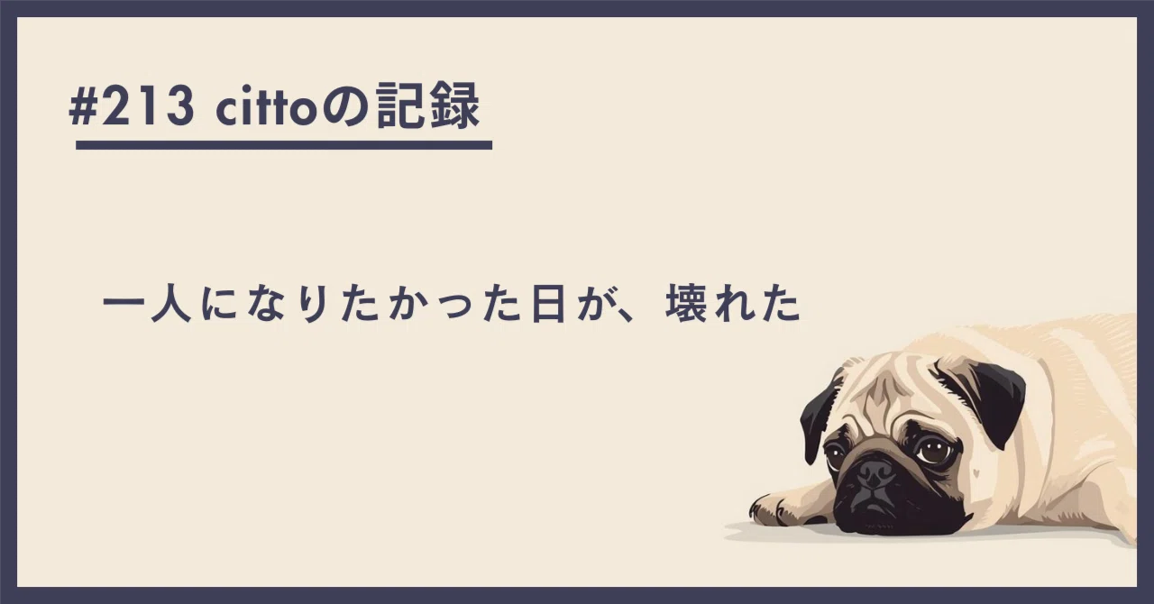 #213 | cittoの記録 | 一人になりたかった日が、壊れた｜citto