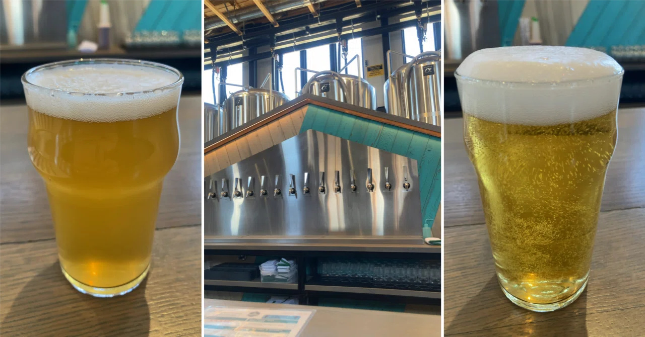 Danico Brewing Company 【クラフトブルワリー訪問備忘録】｜うえたとしや