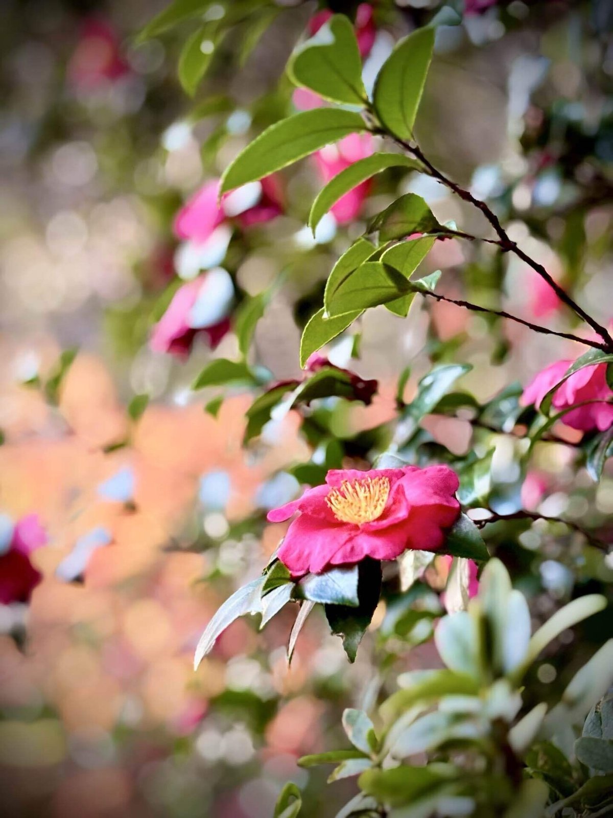 綺麗事は役に立たないしつまらない。｜坂爪圭吾
