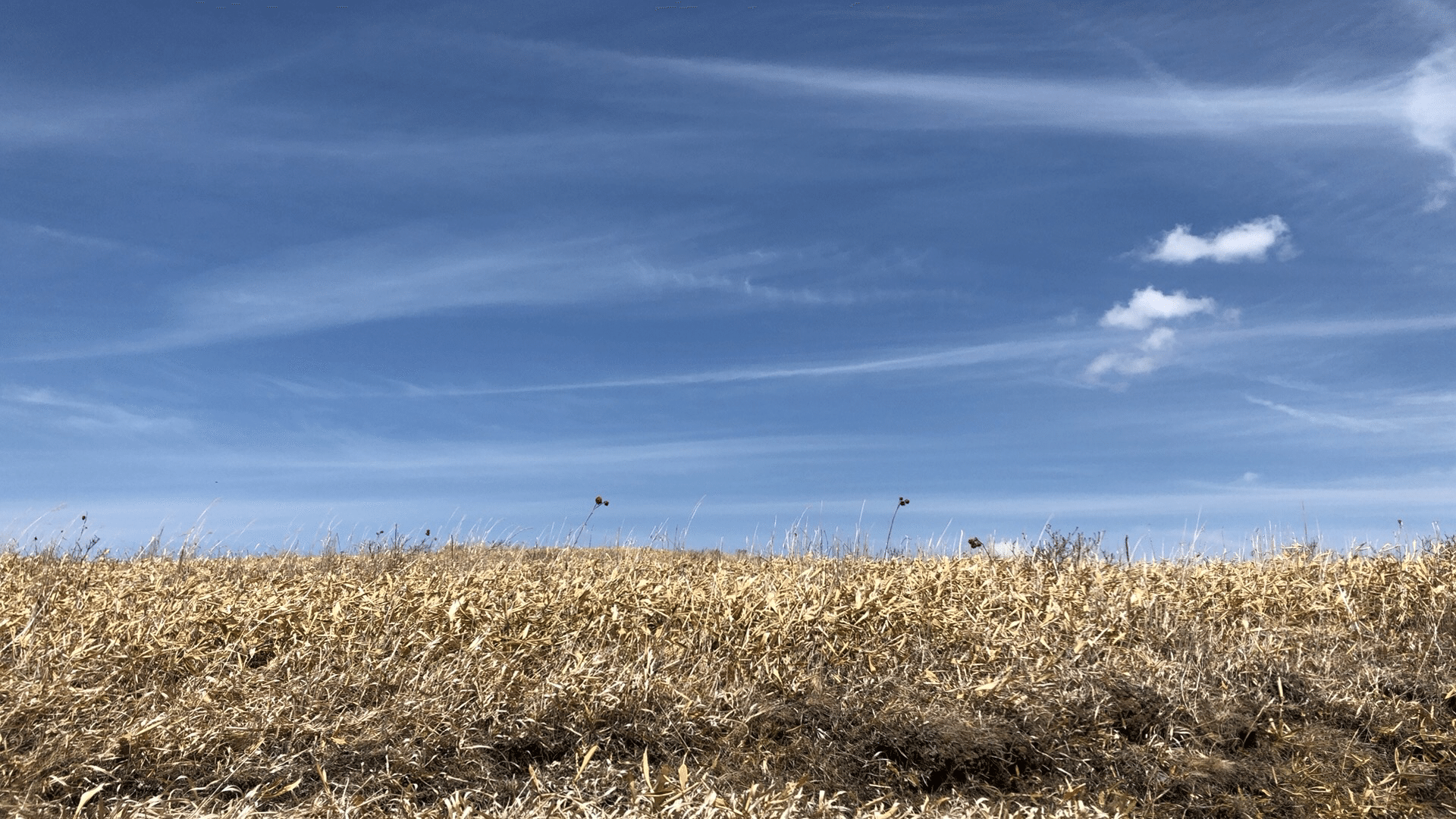 future systems 経済/システムトレード｜note