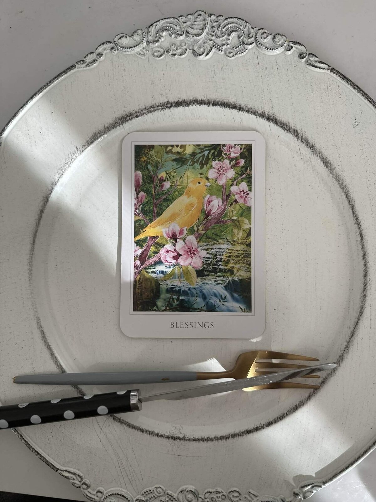 THIS IS ME ！これが私｜𝑠𝑎𝑦𝑎☽ 𝑎𝑠𝑡𝑟𝑜 𝑚𝑢𝑠𝑒 𝑔𝑎𝑟𝑑𝑒𝑛