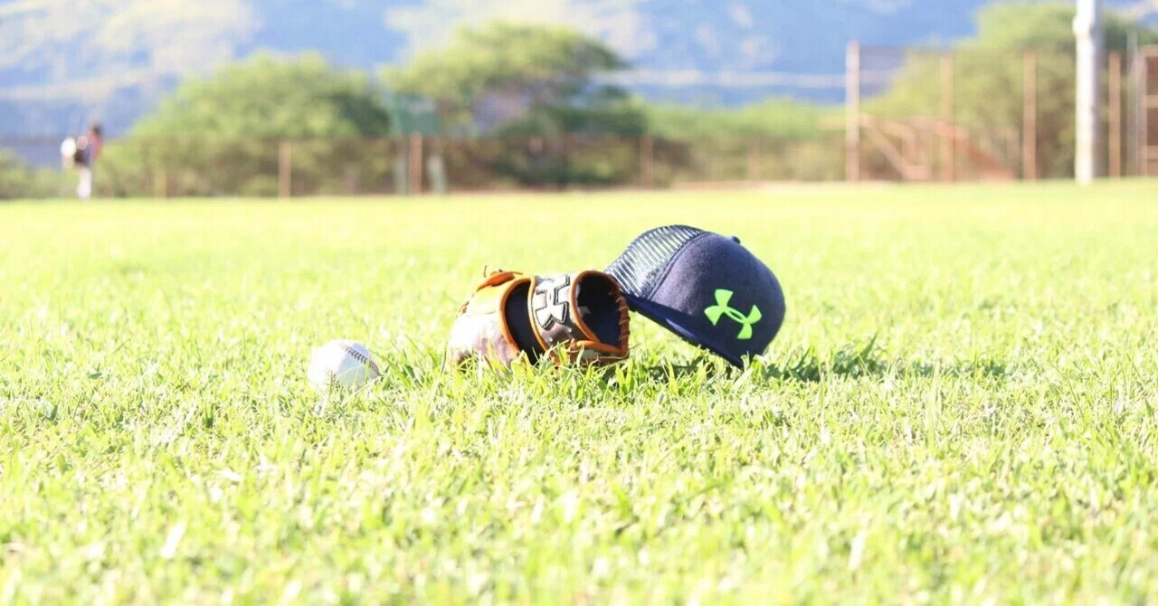 Youth baseball is an activity for children. But it is the adults who ...