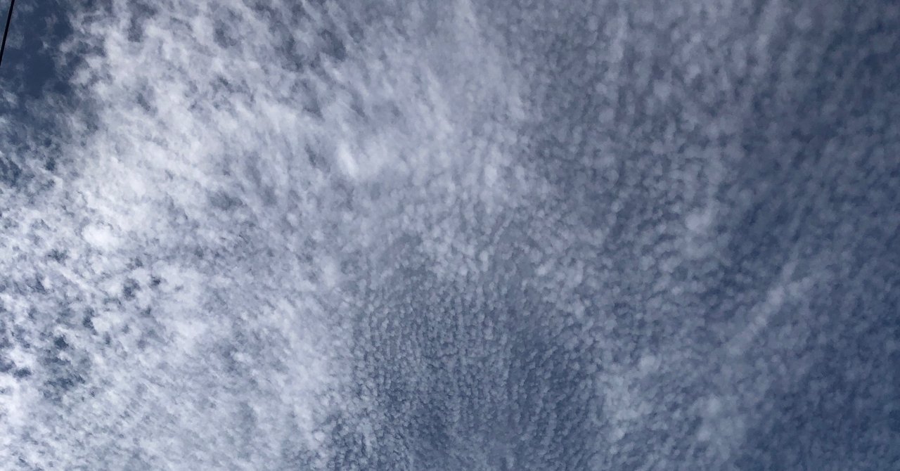 今 ここに｜高野 ゆみ子