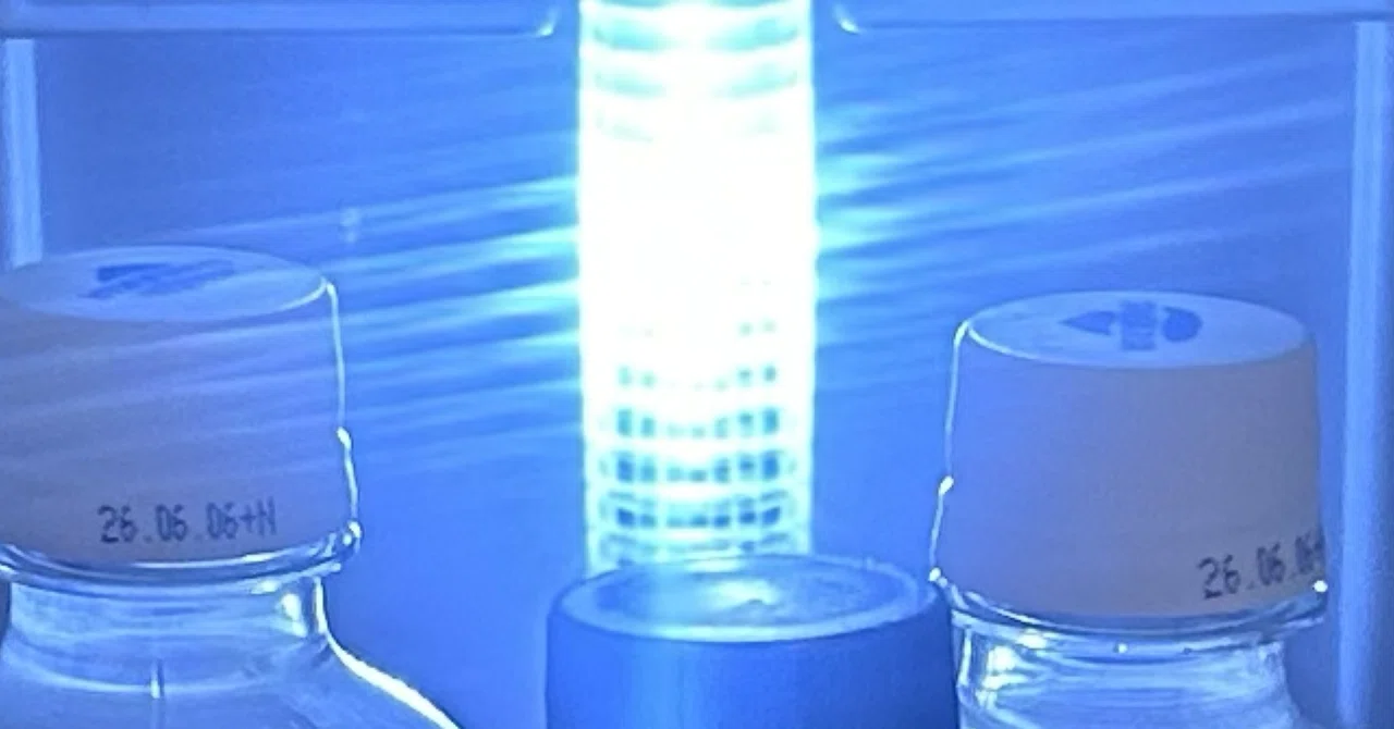 電波に頼って乾杯｜iopkk