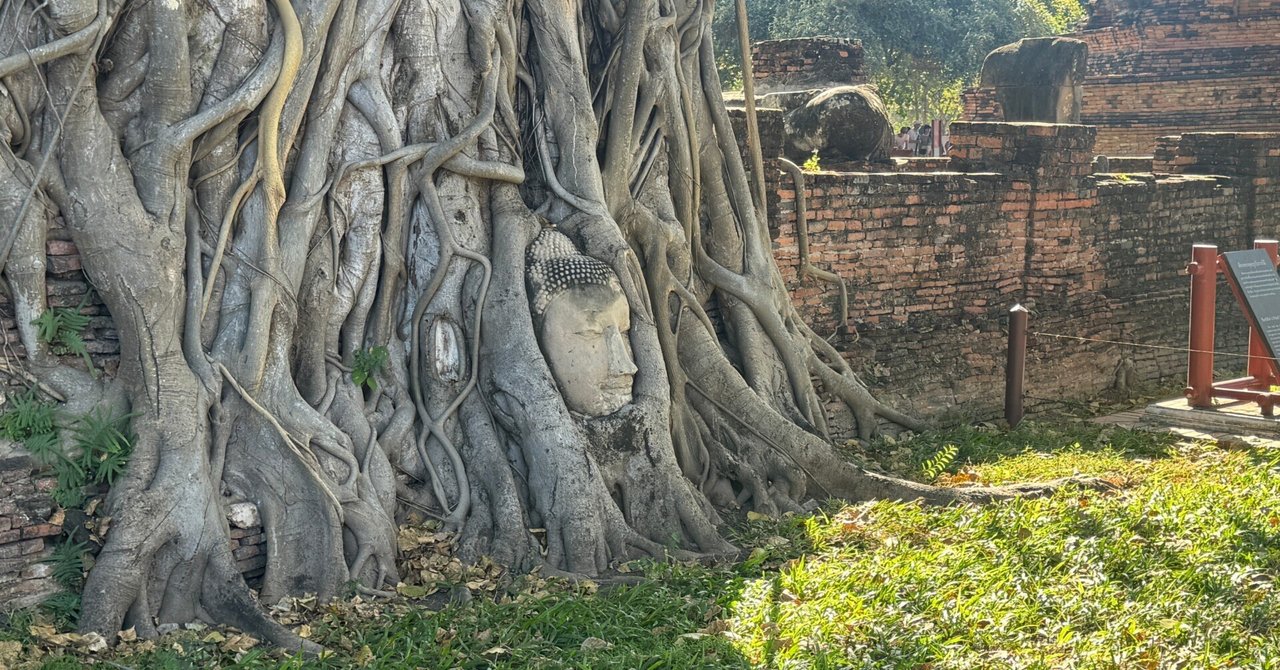 【海外旅行】オプショナルツアーのKKdayとKlookってどっちがいいの？｜ボーダレス ゆうた