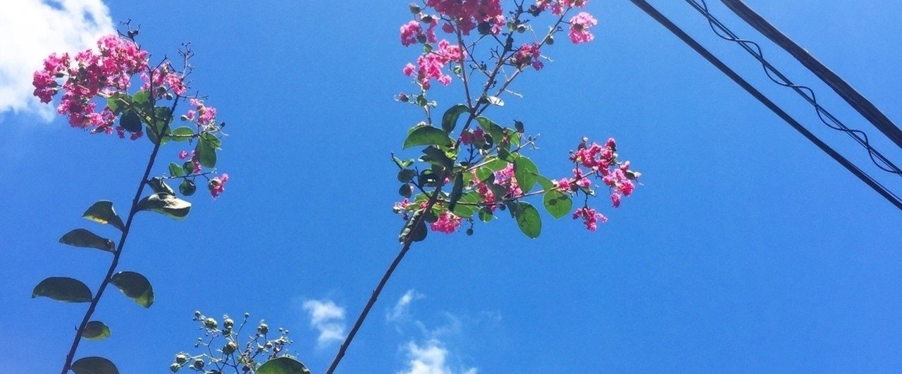 境界線は引かずに｜Ayaka Kayano｜note