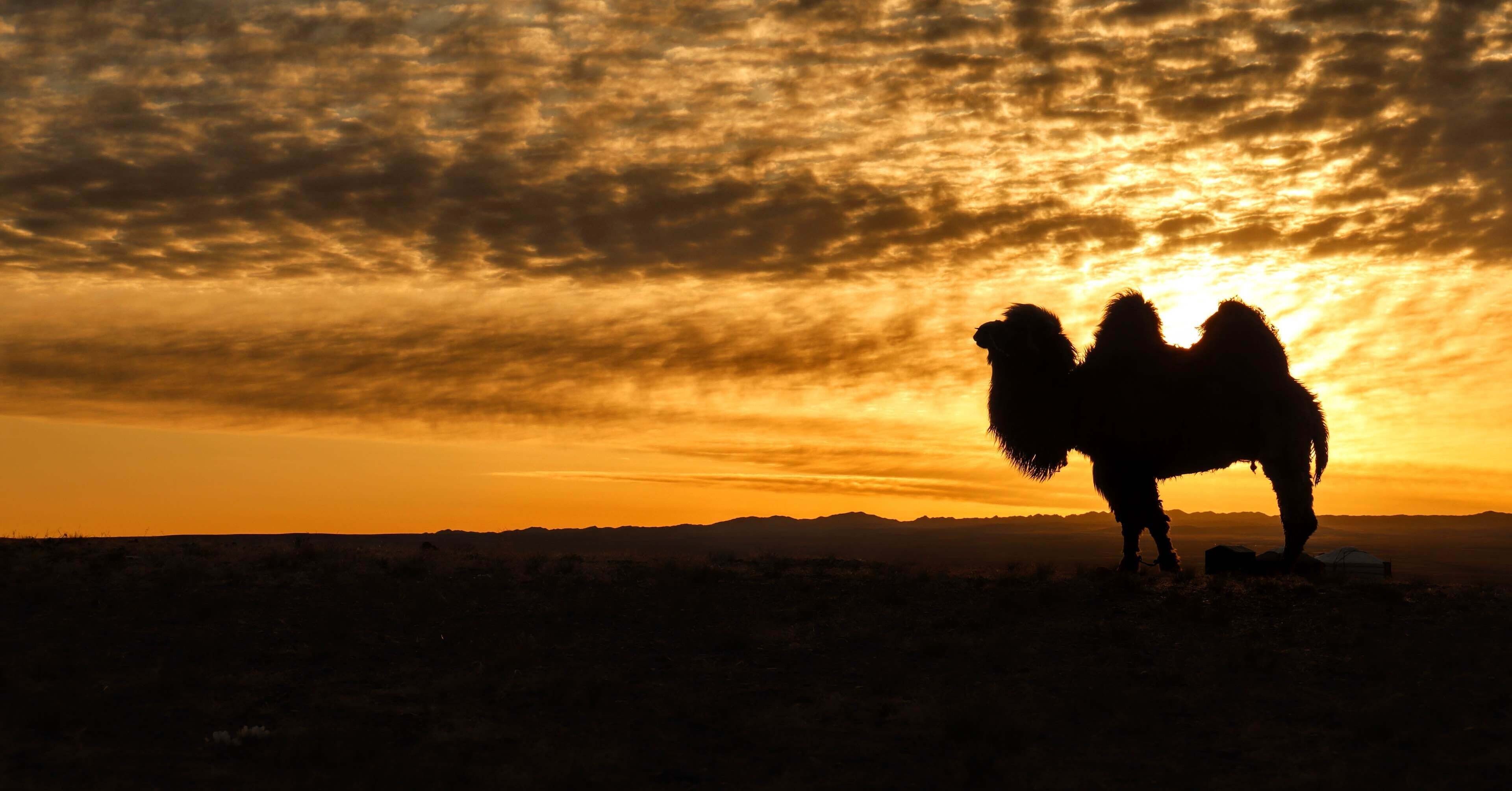 写真集📸 - ウズベキスタン｜ふる｜note
