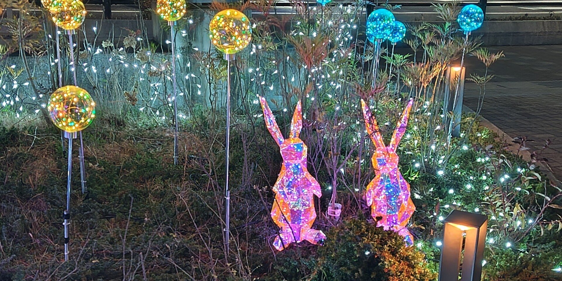 雑記 - 2025-12｜咲くラビット｜note