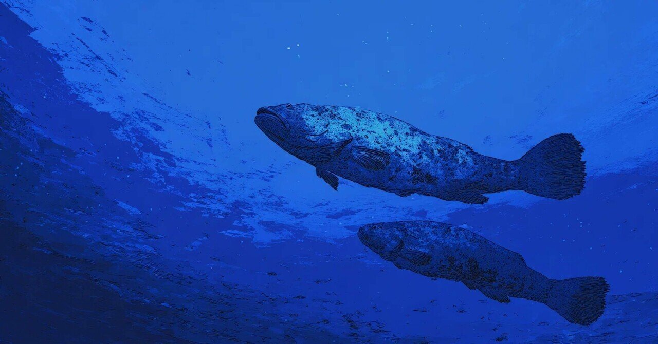 第12話｜[見るな]殺気と地層、あるいは壊れない鏡｜擬態を解いたINTJの生存記録｜月白