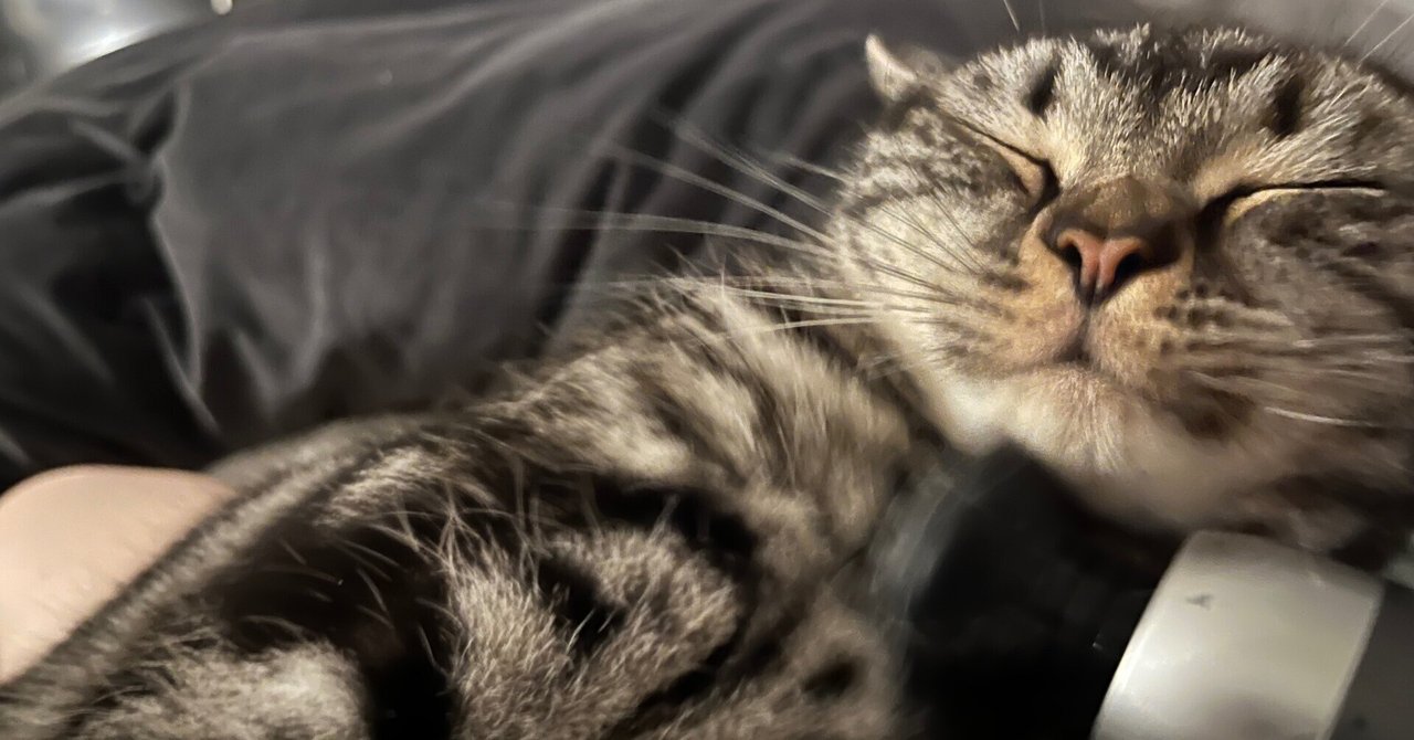 シュウ酸カルシウム結石｜NINE OK ROCK