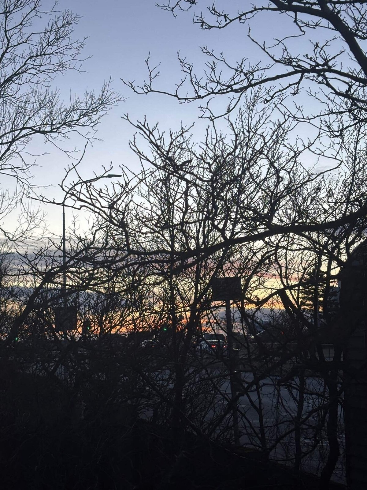 アイスランド旅行雑記 🇮🇸｜Tomatoma