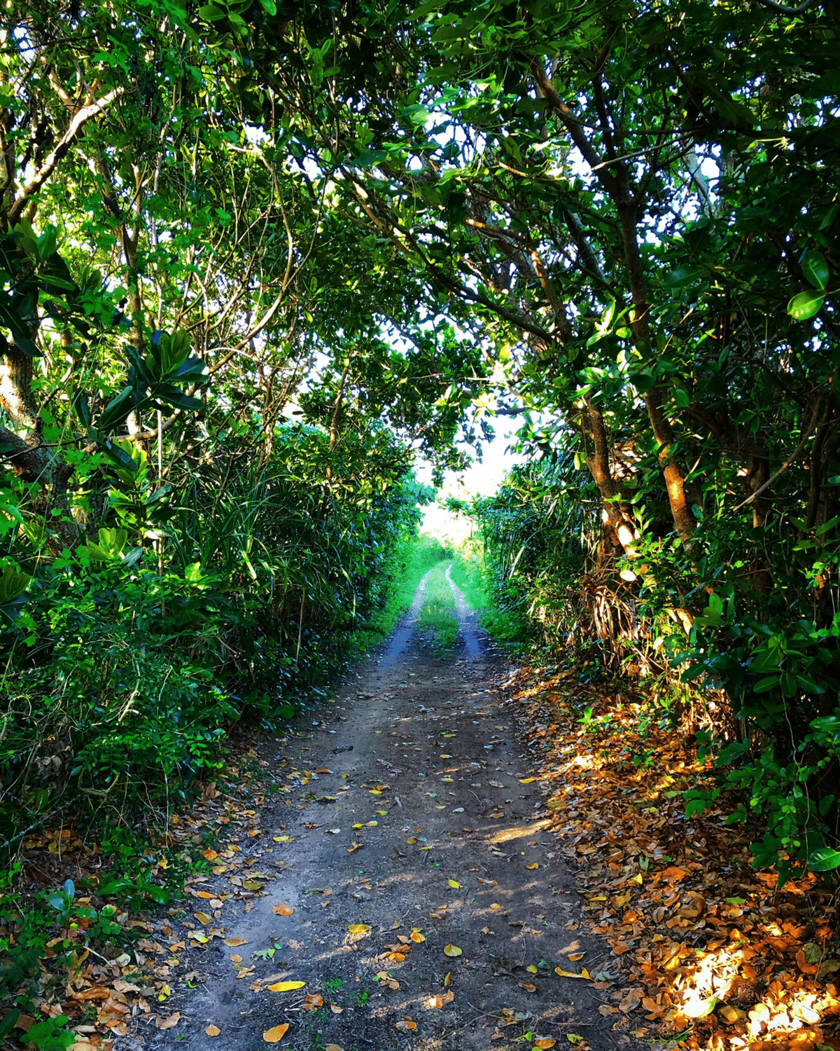 やるほど元気になれば正解。｜坂爪圭吾