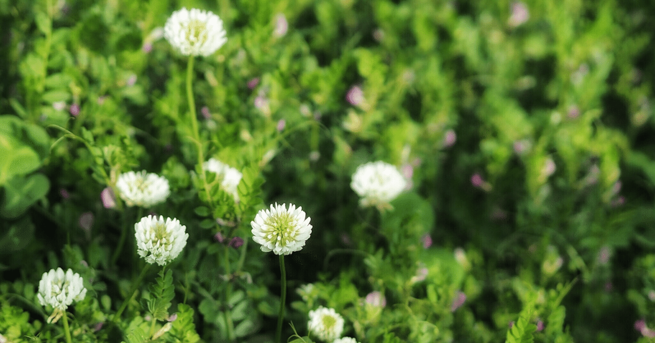 一日一禅 和気似春風｜じん