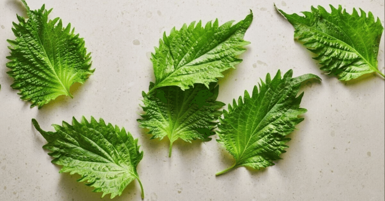 過敏性腸症候群ガス型さんにおすすめ｜薬膳の効能を活かした症状改善食材リスト｜k ｜過緊張・HSPのセルフケア