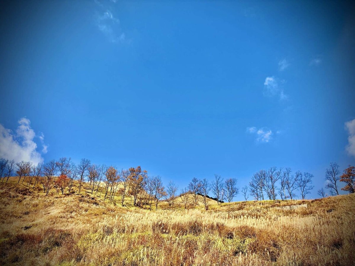 自分の生き方を説明しない。｜坂爪圭吾