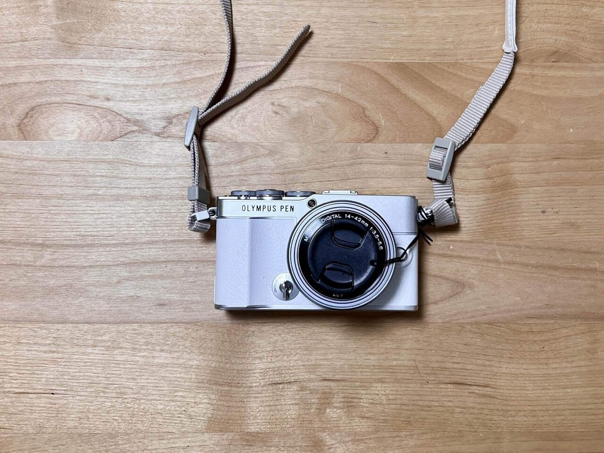 PENが逝った日、私は「もういない側」だと知った｜かなえ｜永田香苗