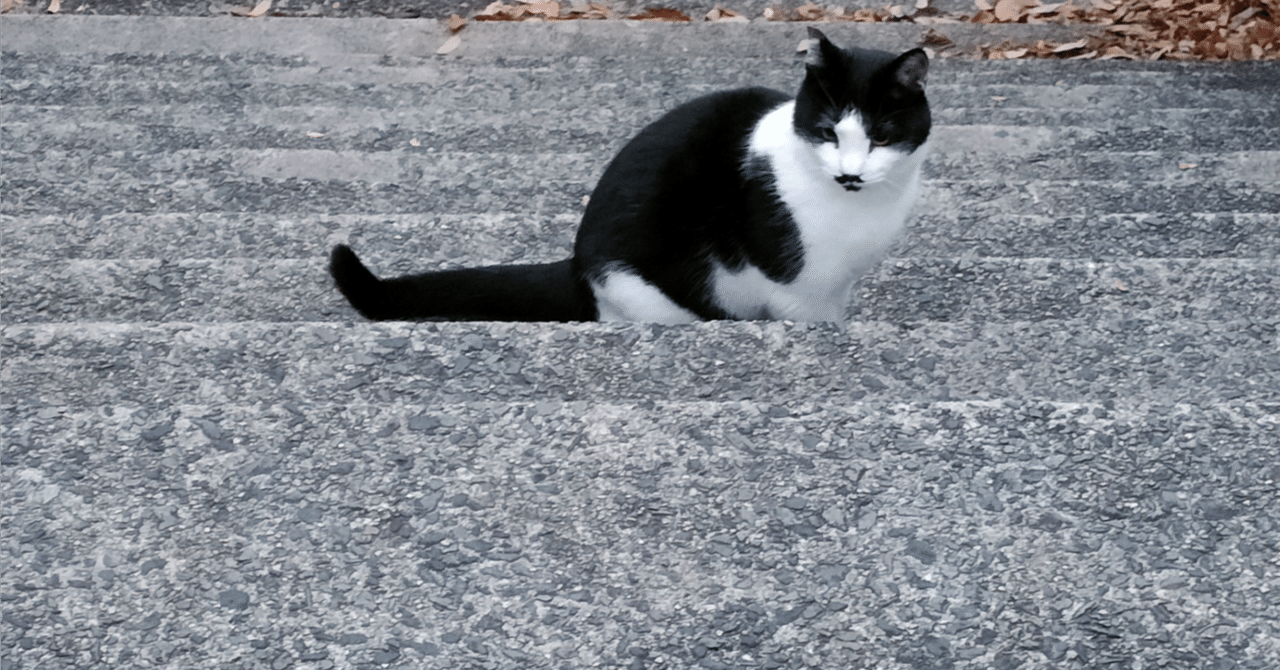 TOSSY ではじめる銀とトルコリラ円観察日記 1 月 26 日｜正則化項つきで最小化された政府