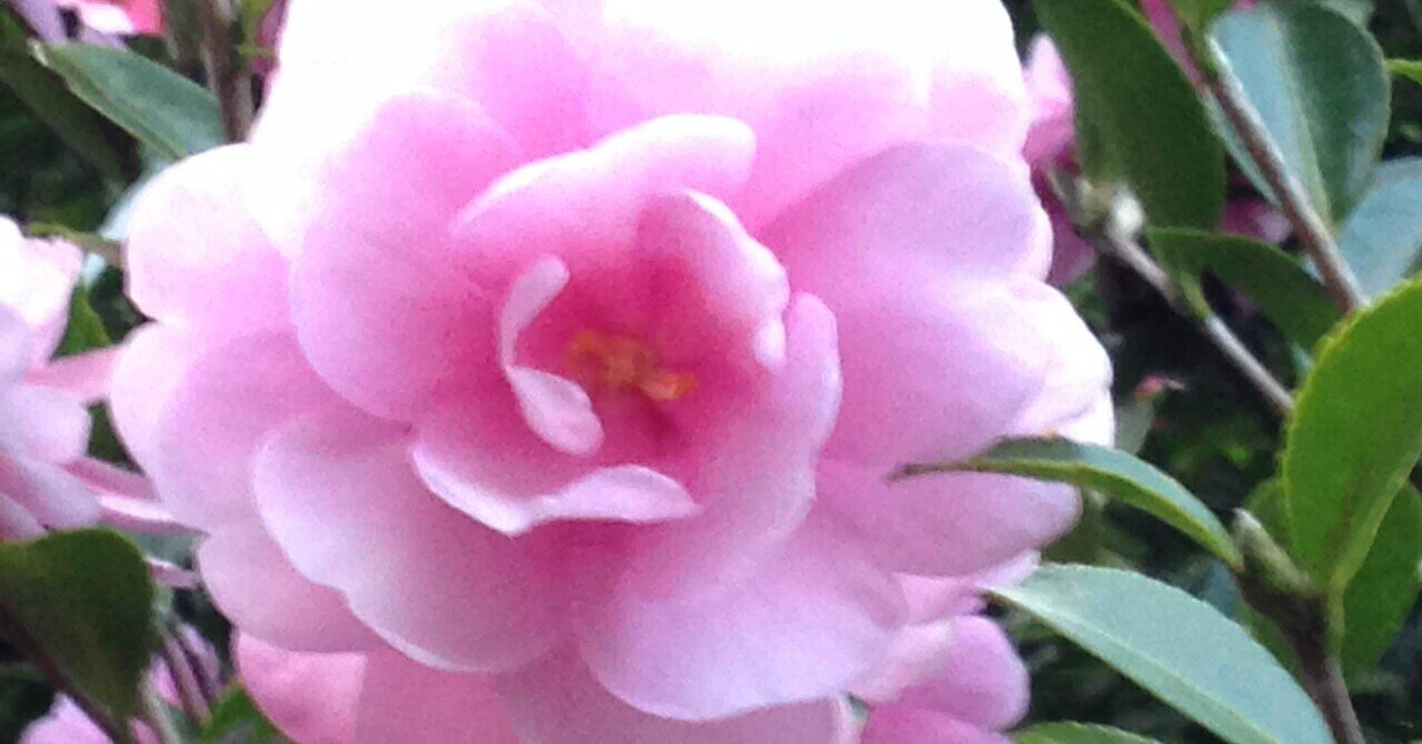 chat GTP 私とのやりとり（ロープレ）を録音したい｜tom