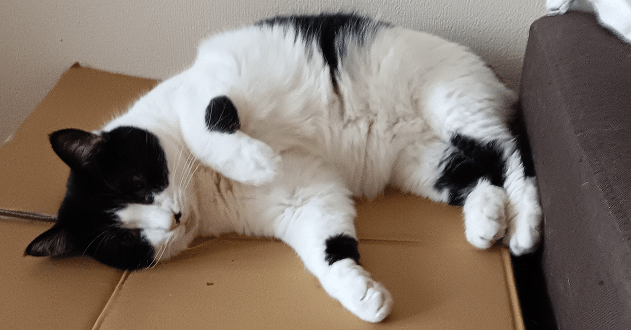 TOSSY ではじめる銀とトルコリラ円観察日記 1 月 27 日｜正則化項つきで最小化された政府