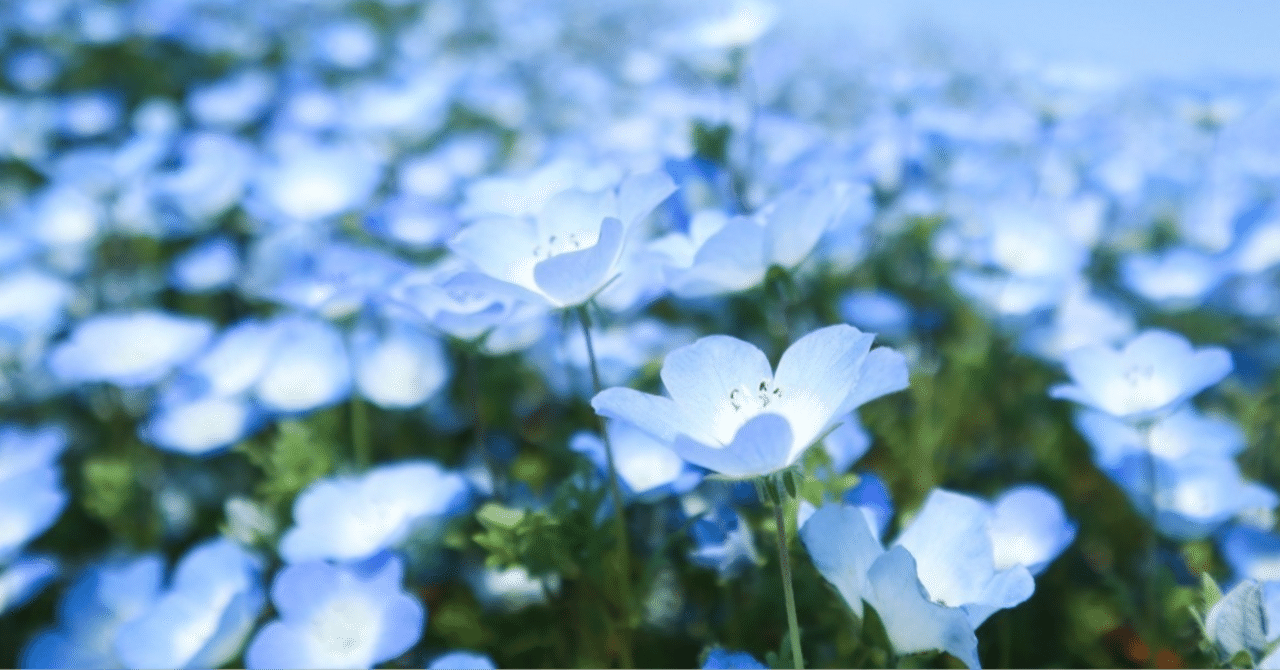 じゃあ、今の私はどうなりたいんだろう｜だいたい前向き｜kano