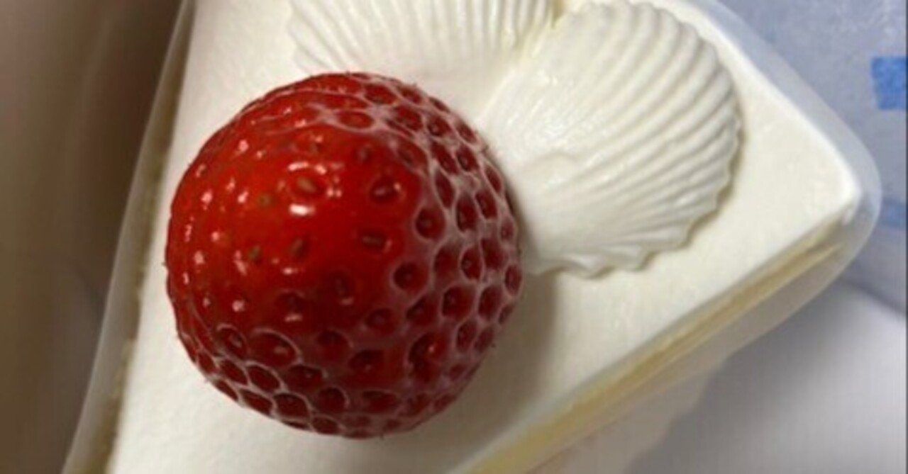 離れる勇気で幸せに｜a flower flavor 高知旅コーディネーター