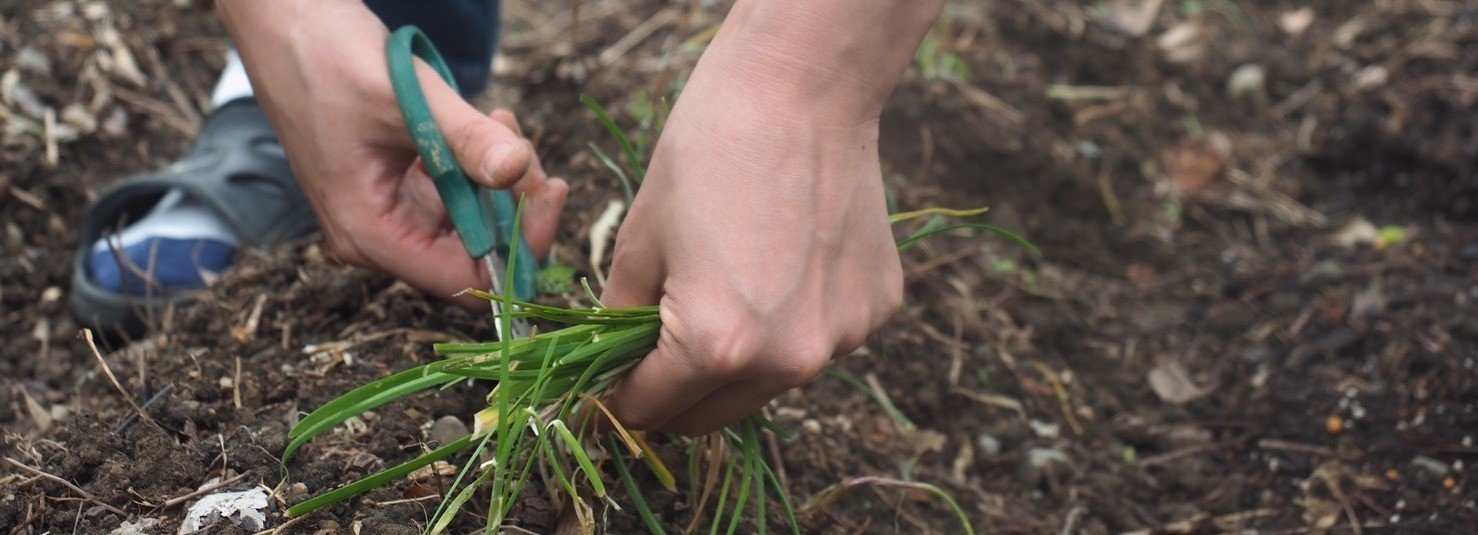 kitamura_natsuki｜note