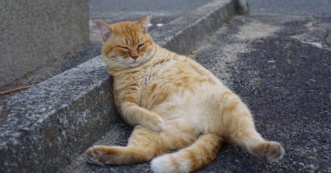 Days45 Nino ｜Connie steps diary