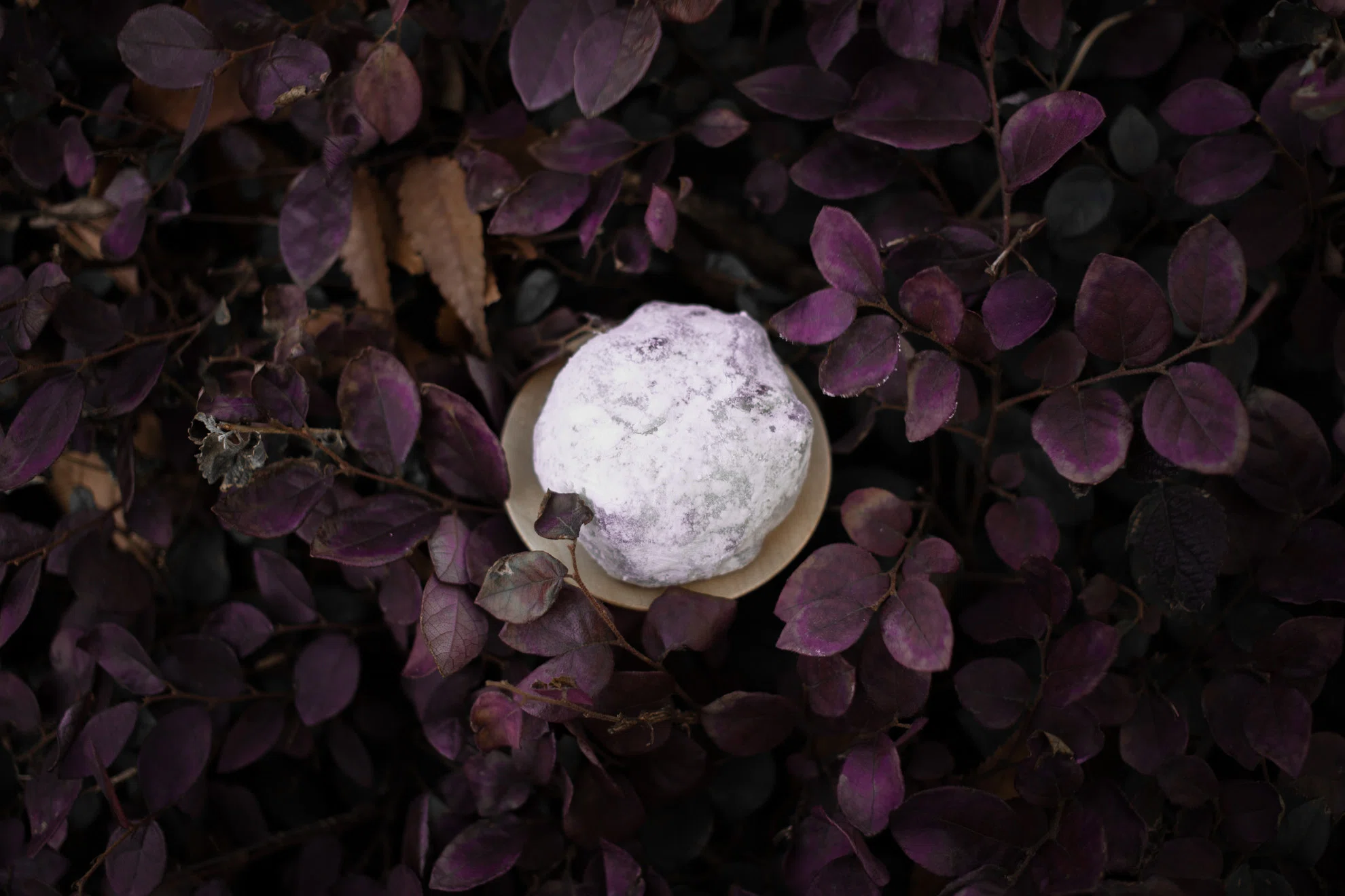 mame-daifuku｜note