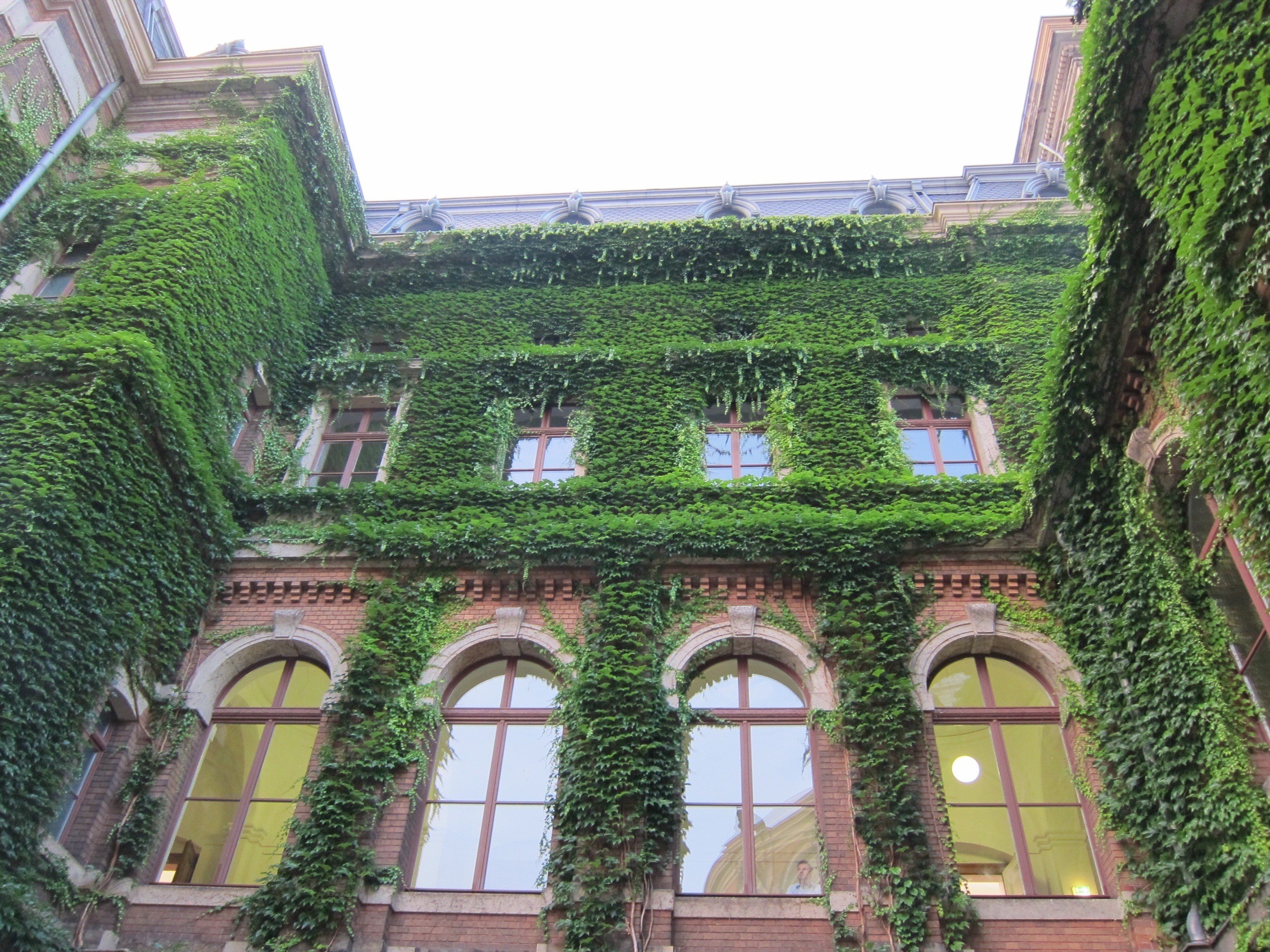 ドイツ留学時代｜kin.iro.hitode/浜口麻里奈｜note