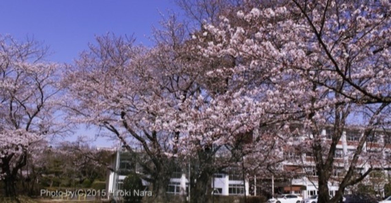 コロナ暴落でインデックス積立投資をやめるべき人｜hiroki-nara