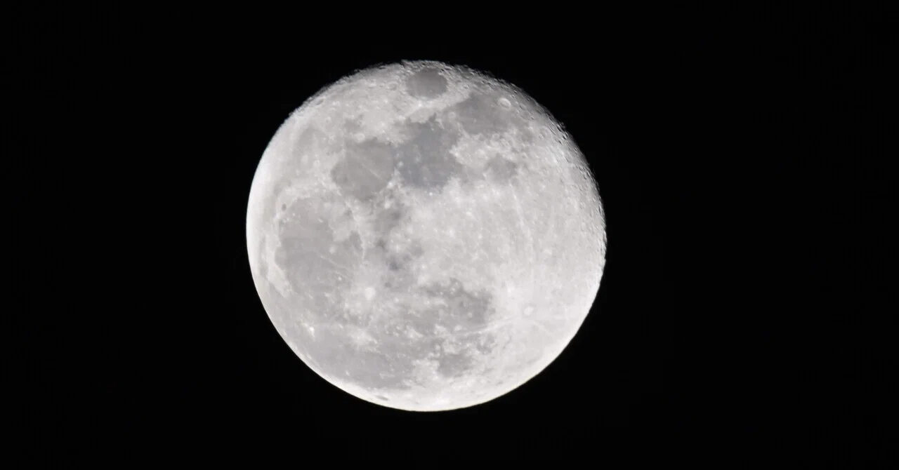 🌙 Miss MOONLIGHT Ⅱ｜Levo24