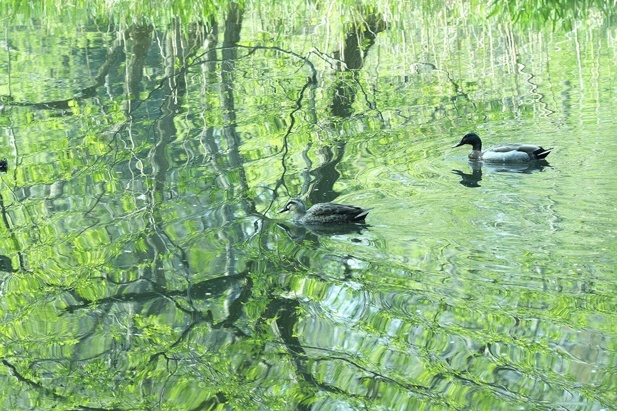 長崎の撮影が終わって、徒然に｜Dialogue With Mary @shinya-hirose
