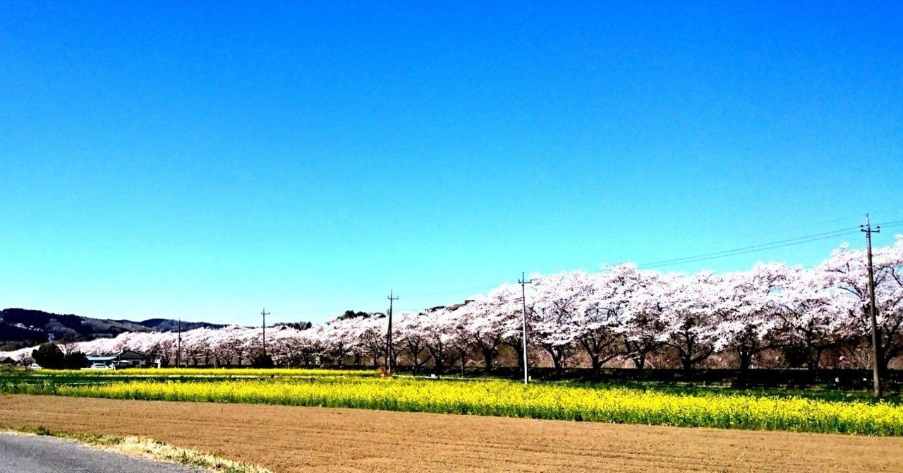 新入社員の苦悩 摂食障害の私 体験記⑨｜RUMIKO｜note