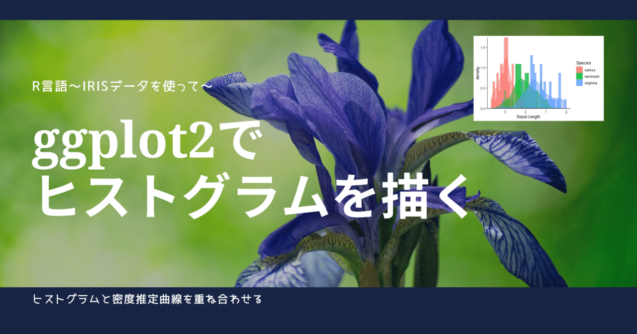 【R言語】ggplot2でヒストグラムを書いてみる｜eiko_programming