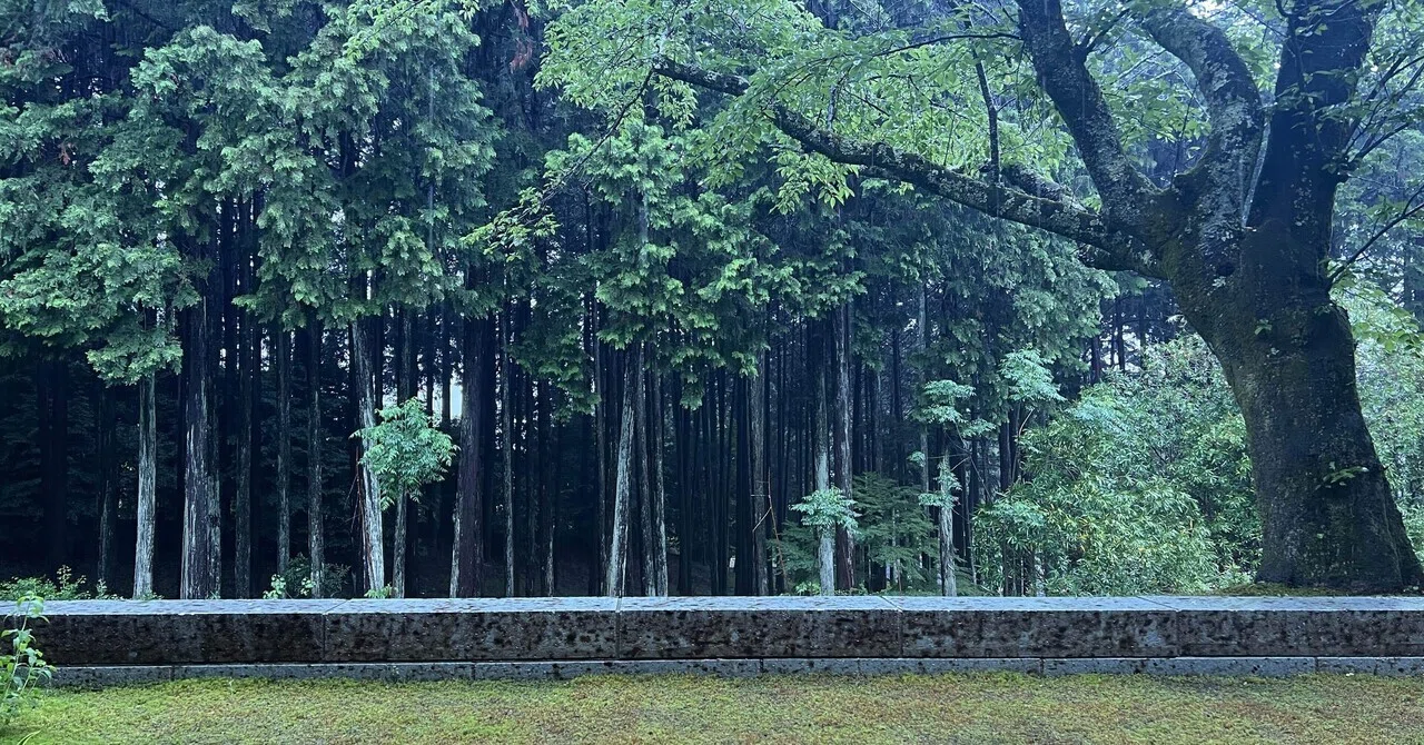 今日は雨、家に引き篭もる｜sazm