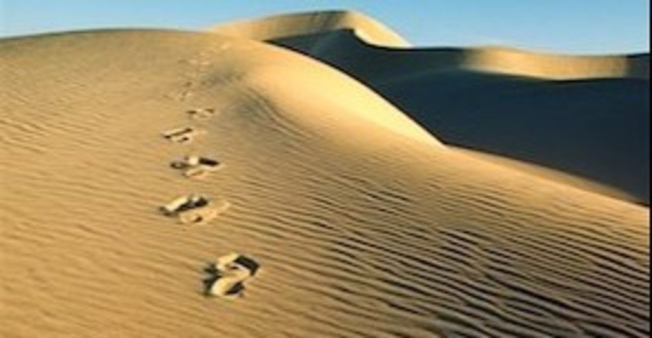 nuntius obitus｜exarator