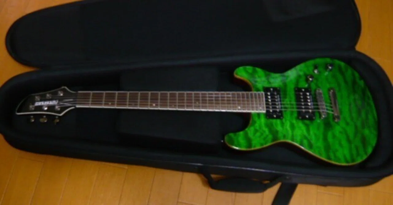 愛器紹介：FERNANDES Dragonfly（サスティナー無し×Duncan×タップ）レビュー｜“万能”を現場で使える形にした1本｜エレキ ...