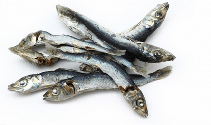 高級サプリより効果抜群？ゴーヤの凄すぎる美肌効果と簡単レシピ｜ダイエット管理栄養士｜久美子