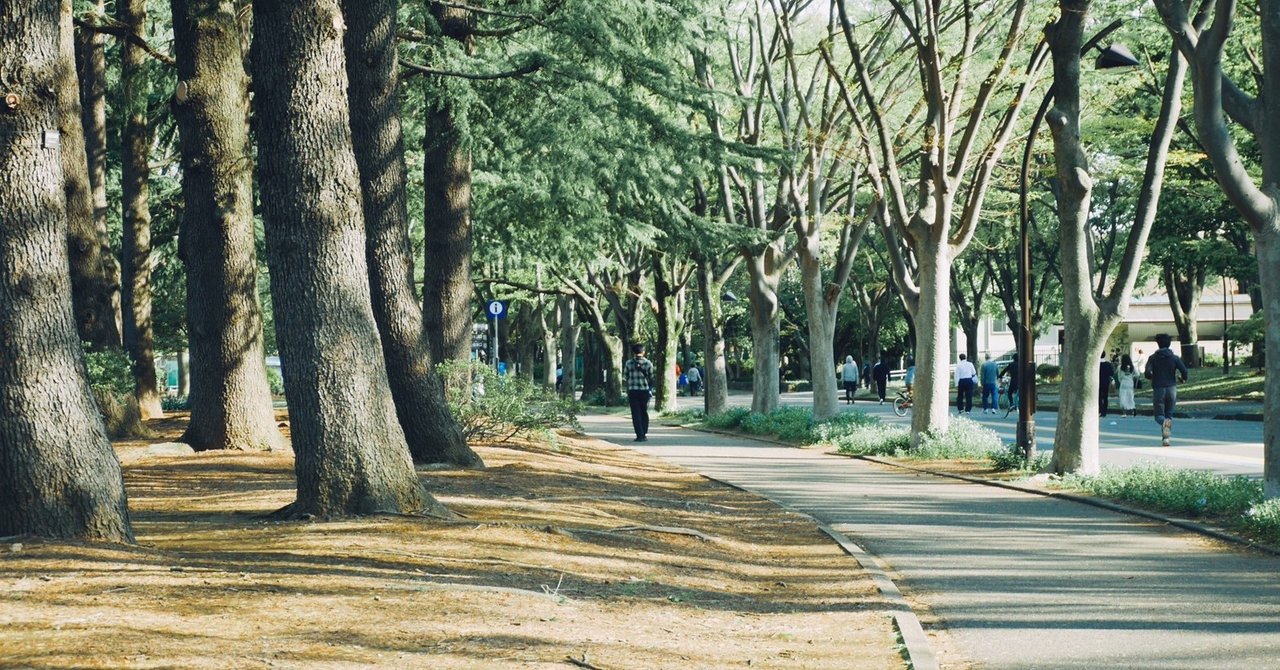 自分の世界を発信してみるという試み｜稲数麻子 | Asako Inakazu｜note