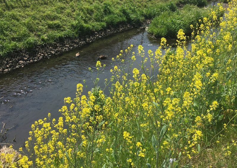 禄でもある日日 day 1 「引っ越しと名前、正解ってなんだろう？」｜ますい 禄｜note