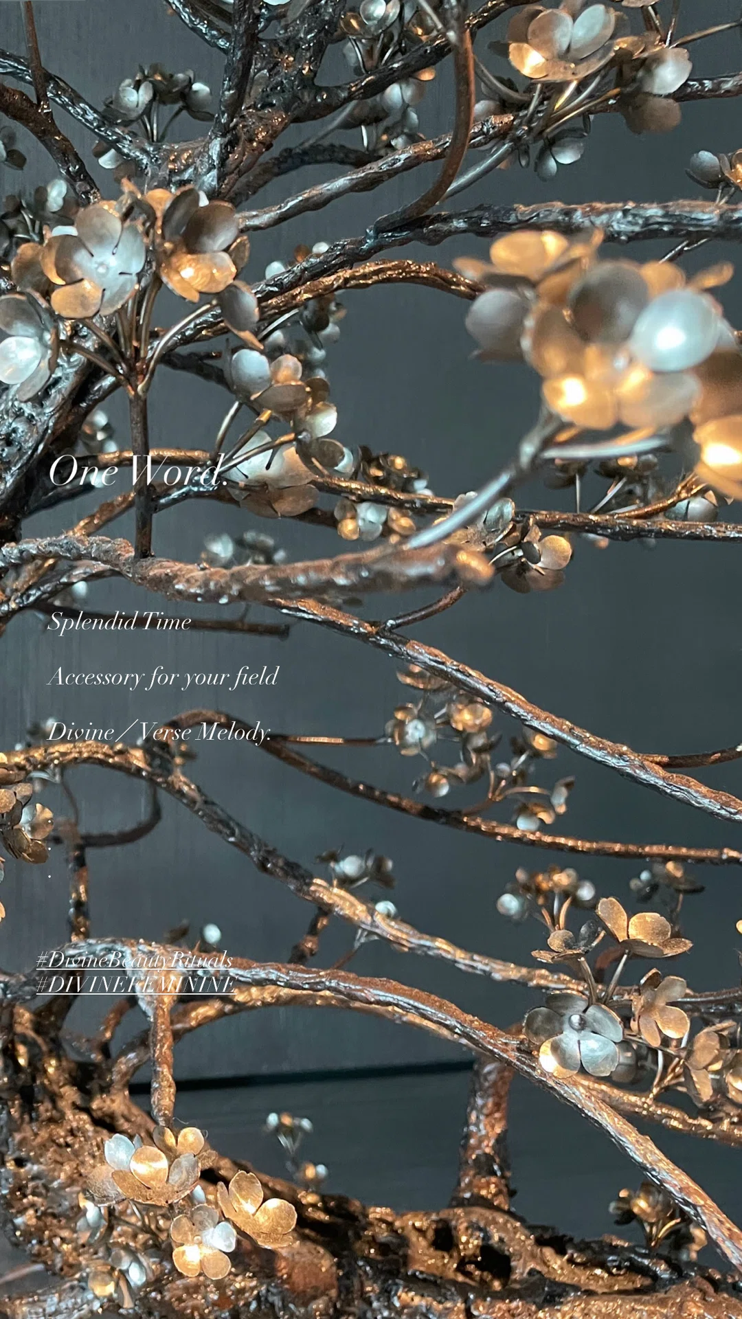 One Word.｜MANAMI｜InnerCare,Beauty,and more....
