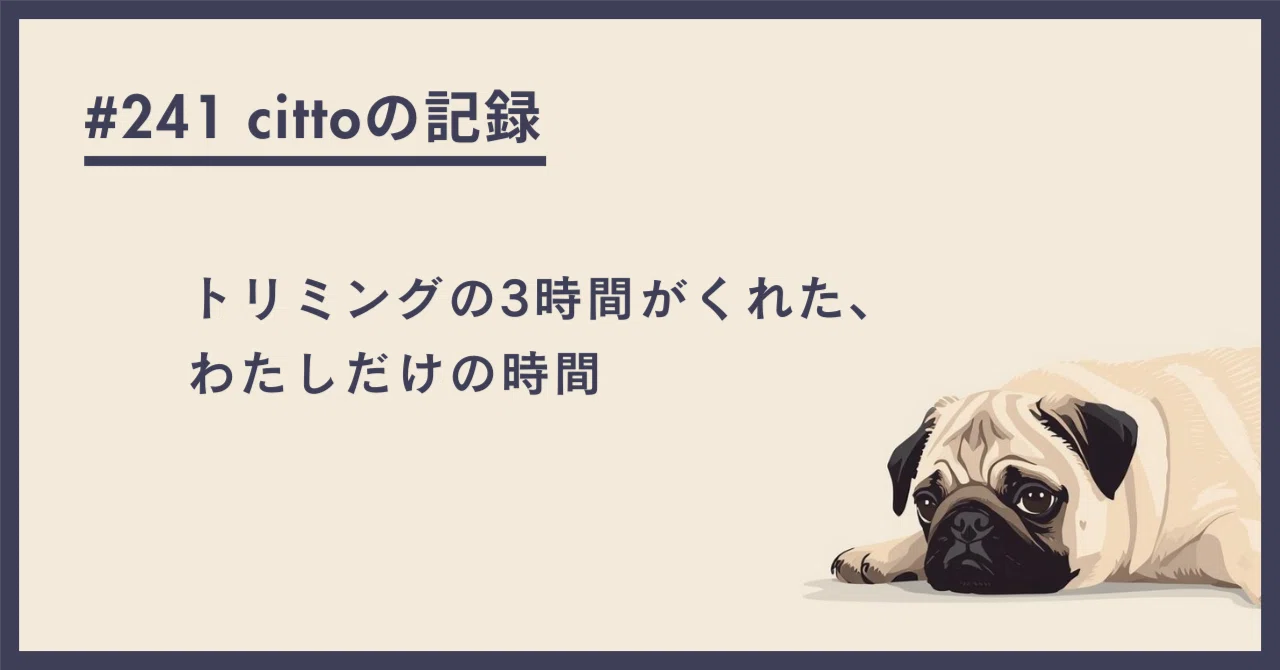 #241 | cittoの記録 | トリミングの3時間がくれた、わたしだけの時間｜citto