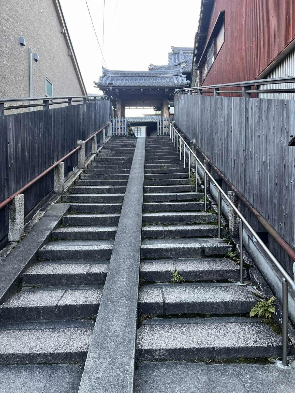 志望校全落ちJK傷心弾丸京都旅行｜さくらじま