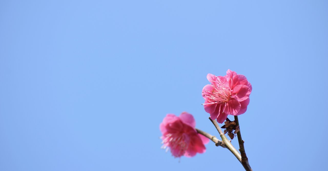 行動すること。｜roko｜note