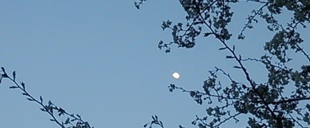 YOGA IS HOW TO LIVE.｜miyoga｜note