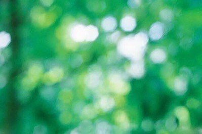 とうめい｜Oli SAORI