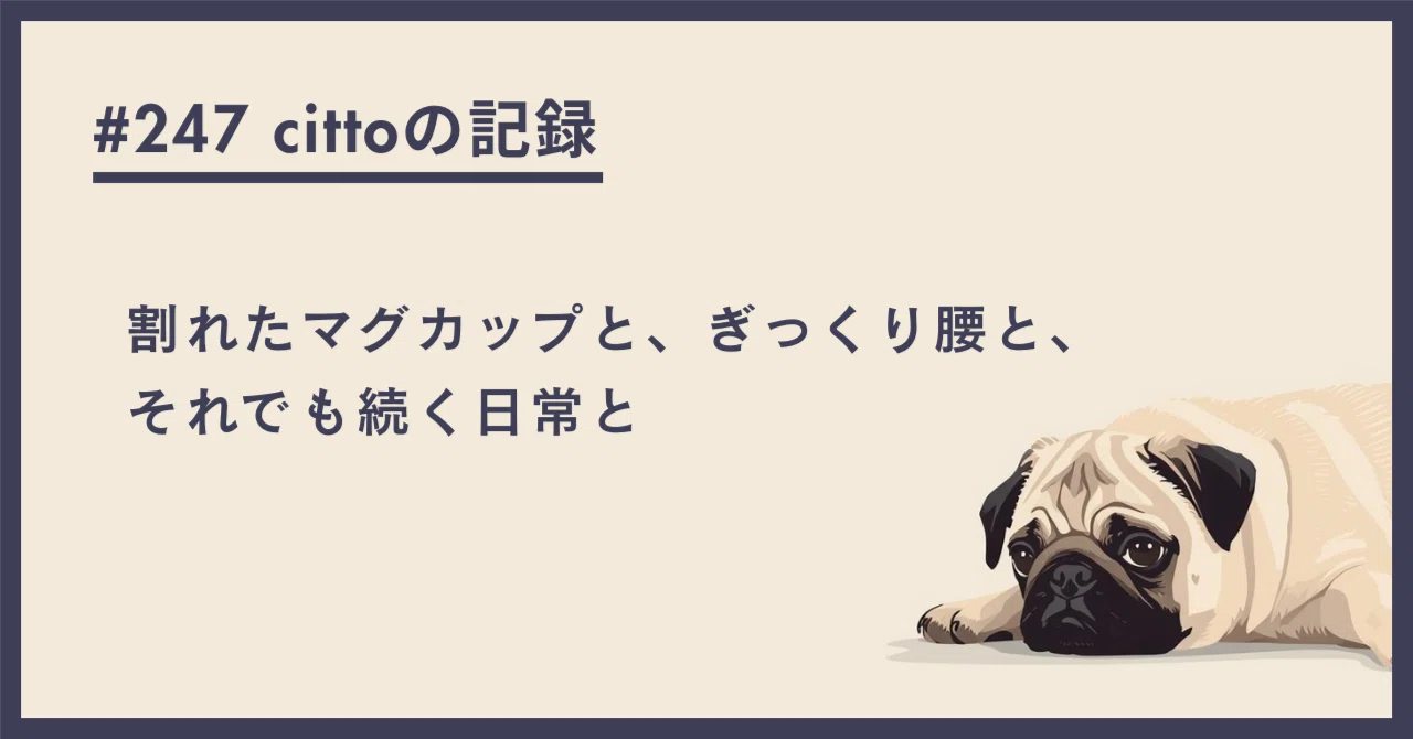#247 | cittoの記録 | 割れたマグカップと、ぎっくり腰と、それでも続く日常と｜citto