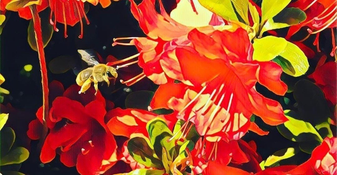 森林総研が作る木のお酒？｜yukinko｜note